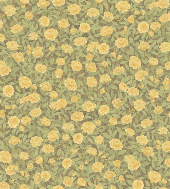 Idyll Roses Linen Union Fabric in Honey Citrine by Cole & Son | Jane ...