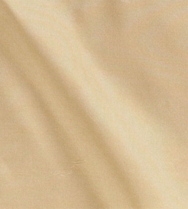 Imperial Silk Fabric in Putty by James Hare | Jane Clayton