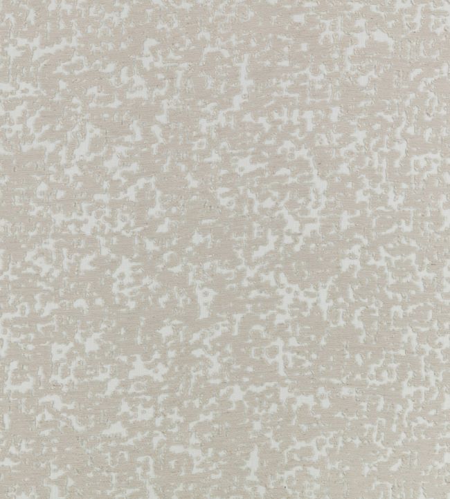 Isoku Fabric in Tusk by Black Edition | Jane Clayton