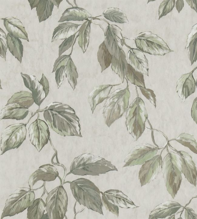 Jangal Wallpaper in Shell by Designers Guild | Jane Clayton