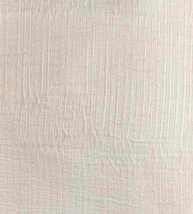 Jet Fabric in Bone by Today Interiors | Jane Clayton