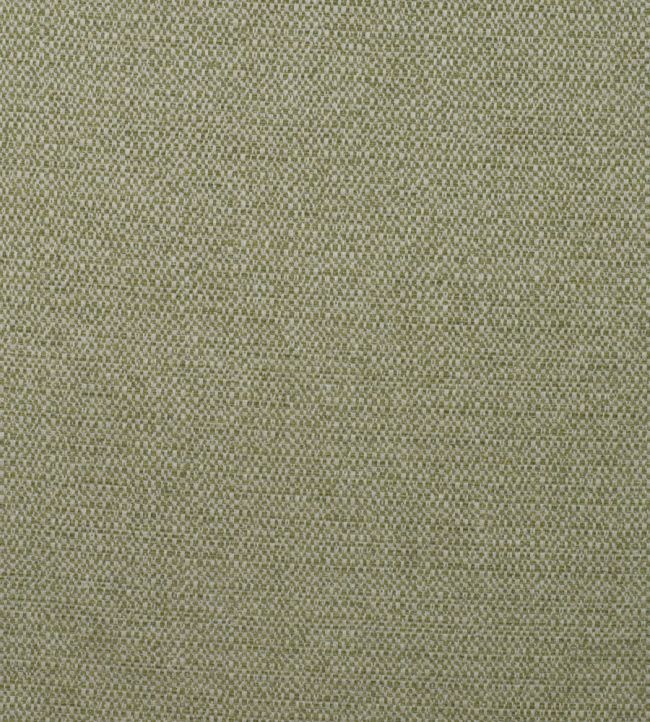 Jetty Fabric in Reed by Andrew Martin | Jane Clayton