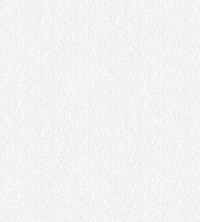 John Wallpaper in Light Grey by Borastapeter | Jane Clayton