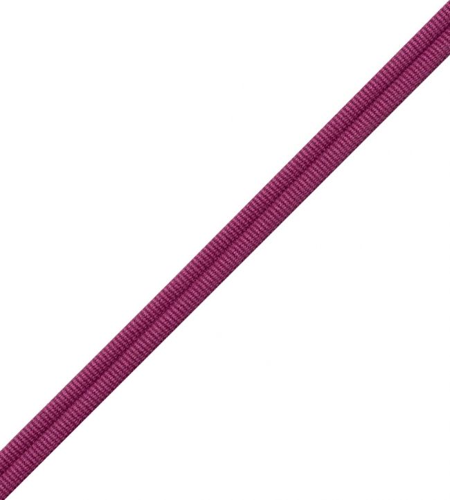 Julienne Double Welting Trimmings in Strargazer Lily by Samuel & Sons ...