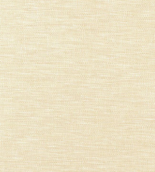 Kaden Fabric in Parchment by Thibaut | Jane Clayton