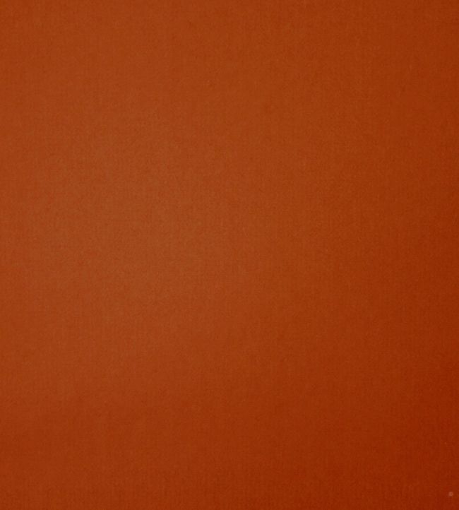 Como Fabric by Kai in Henna | Jane Clayton