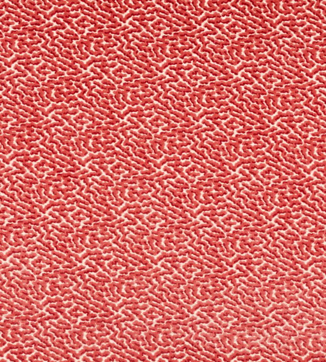 Kemble Fabric in Coral by Colefax and Fowler | Jane Clayton