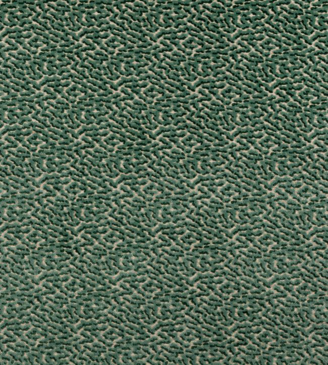 Kemble Fabric in Forest by Colefax and Fowler | Jane Clayton