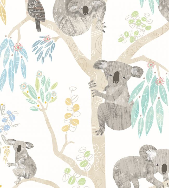 Kooka Koala Wallpaper in Sky by Ohpopsi | Jane Clayton