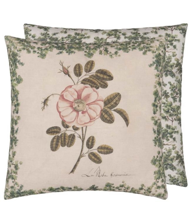 La Rose Ready Made Cushions in Rose by Designers Guild | Jane Clayton