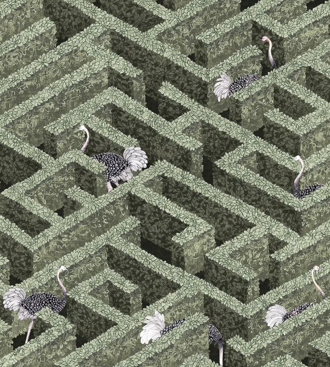 Labyrinth With Ostriches Wallpaper in Eucalyptus by Josephine Munsey ...