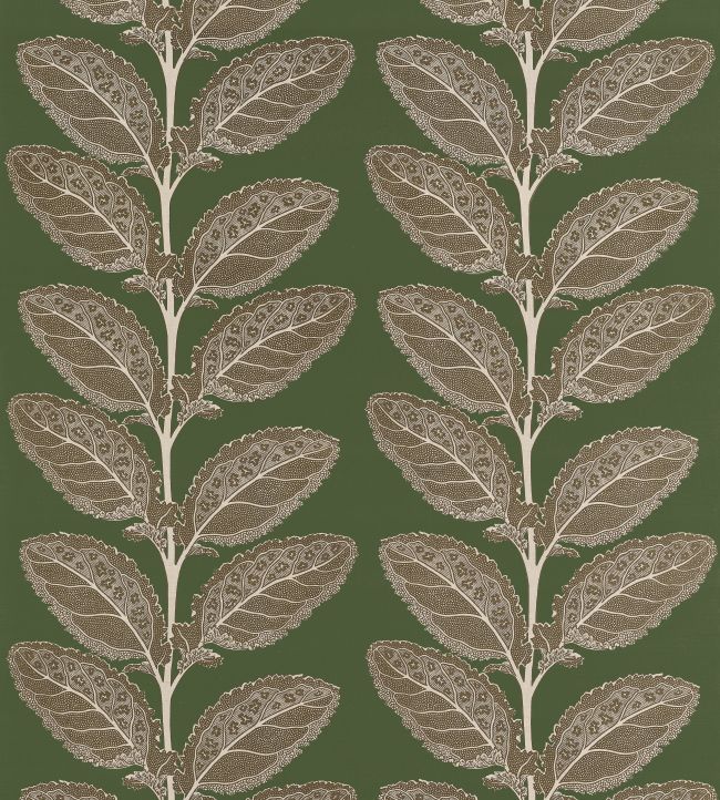 Lacinato Fabric in Wild Sage by Thibaut | Jane Clayton