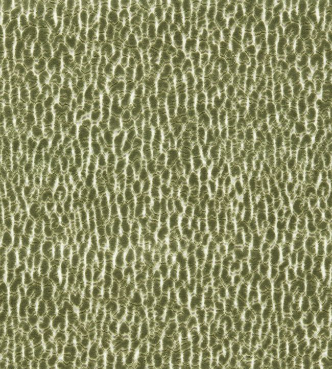 Lacuna Fabric in Kelly by Harlequin | Jane Clayton