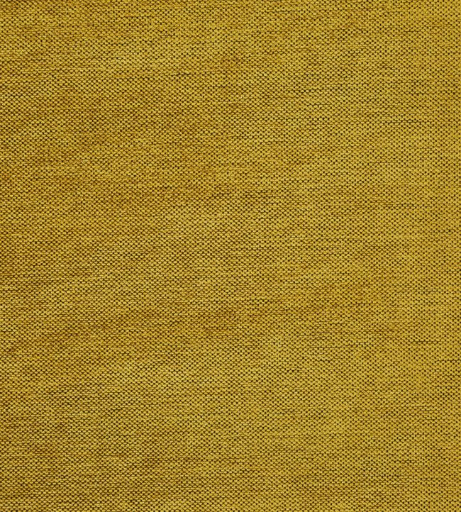 Leon Fabric in Citron by Prestigious Textiles | Jane Clayton