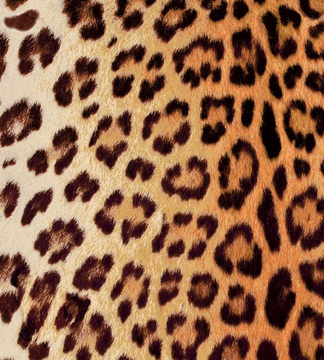 Leopard Fabric in Summer by Arley House | Jane Clayton