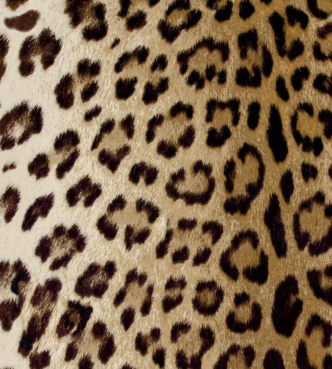 Leopard Fabric in Tan by Arley House | Jane Clayton