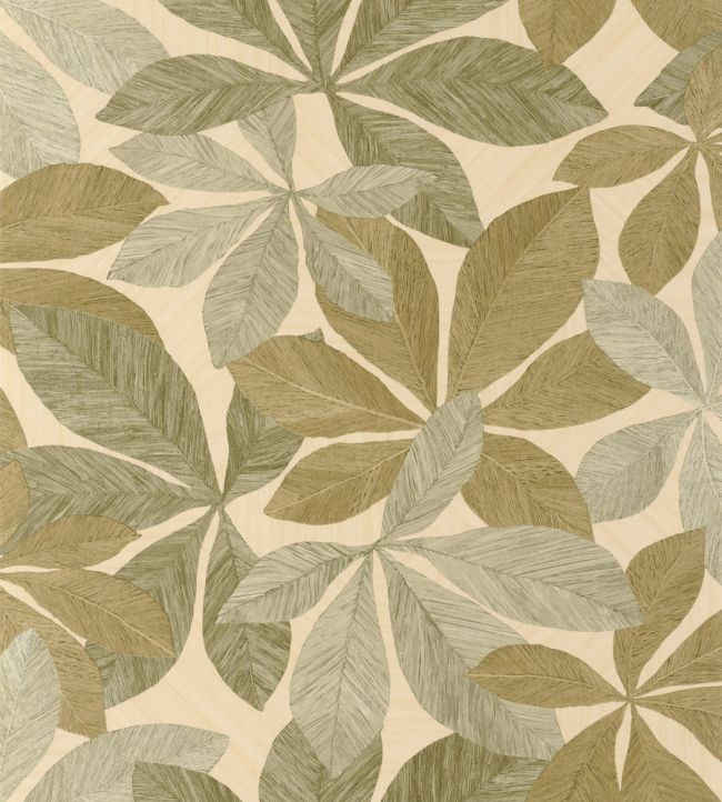 Lignaria Wallpaper in Vert by Caselio | Jane Clayton