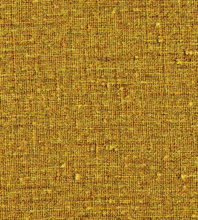 Lin Wallpaper in Attribut Divin by Elitis | Jane Clayton