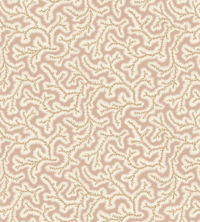 Little Dulcie Wallpaper in Shrimp by Ian Sanderson | Jane Clayton