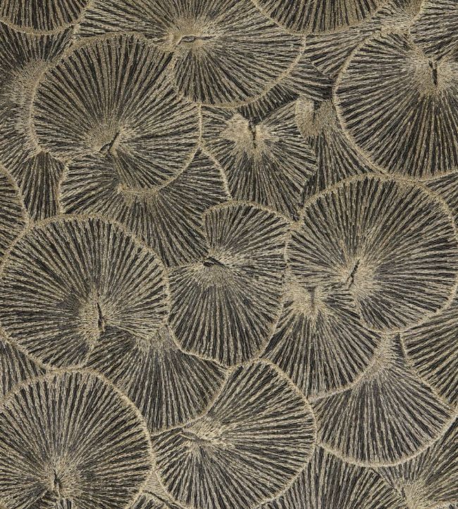 Lotus Fabric in 5 by Lizzo | Jane Clayton