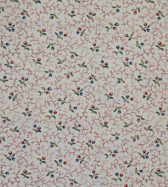 Louise Fabric in Rouge-Rose by Casal | Jane Clayton