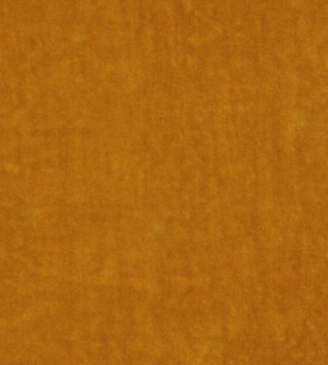 Lusso Fabric in Amber by Warner House | Jane Clayton