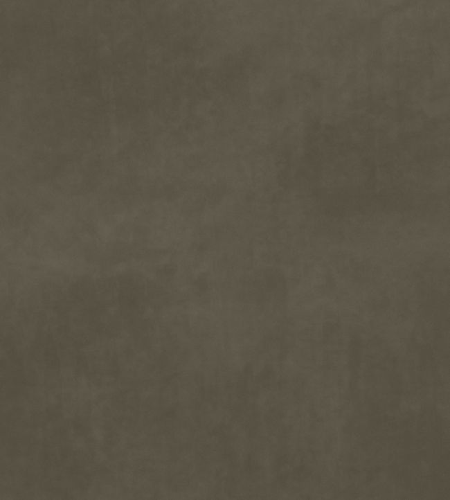 Matador Fabric in Lichen by Warwick | Jane Clayton