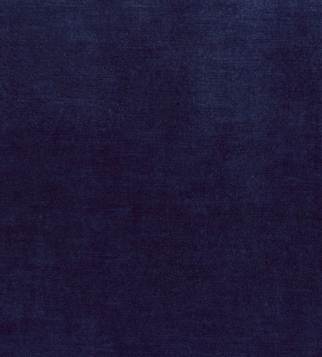 Salsa Fabric by Matthew Williamson in Electric Blue | Jane Clayton