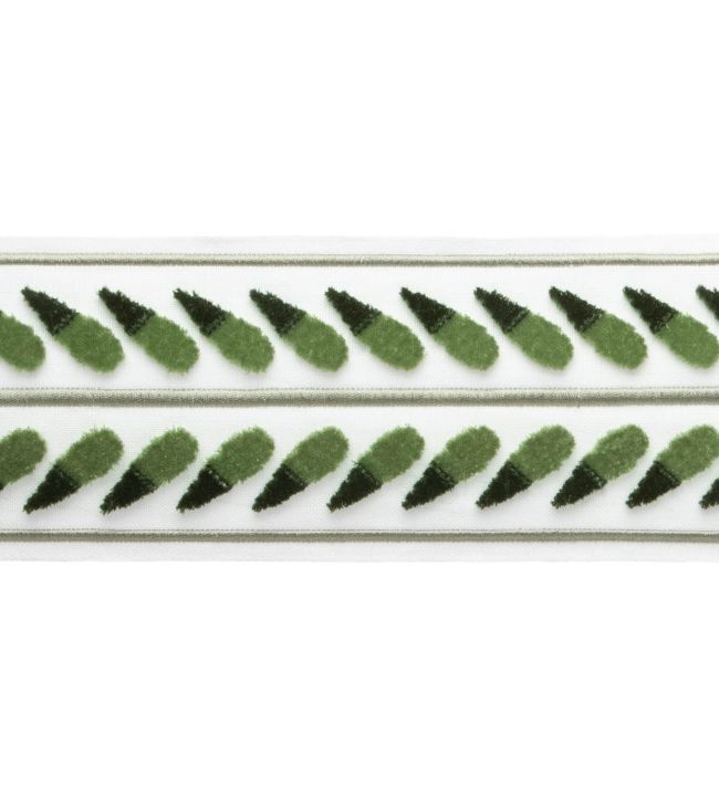 Maxim Velvet Border Trimmings in Emerald by Samuel & Sons | Jane Clayton