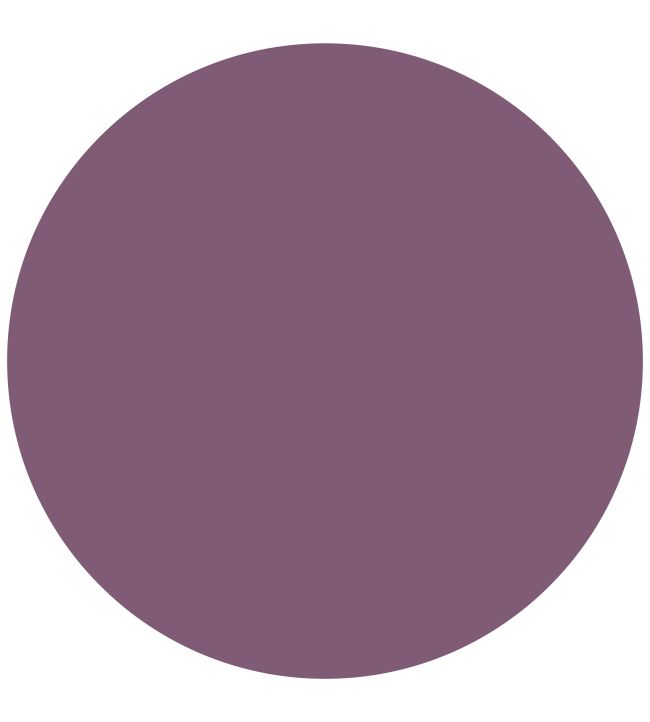 Sanderson Meadow Violet Active Emulsion Paint | Jane Clayton