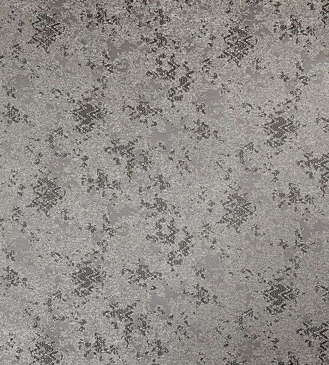 Meteore Fabric in Chrome by Casal | Jane Clayton