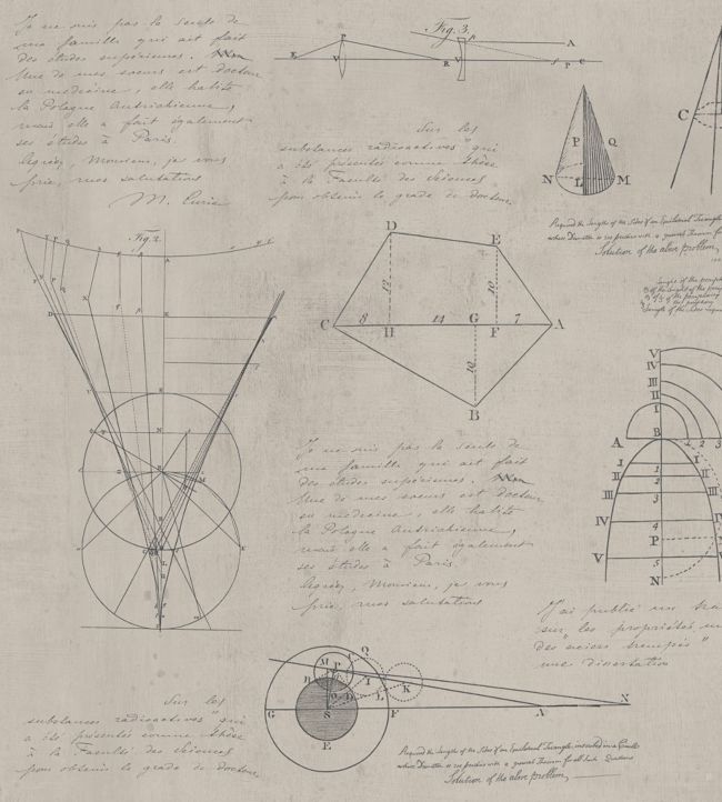 Newton Geometry Wallpaper by MINDTHEGAP in Taupe | Jane Clayton