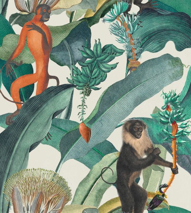 Bermuda Wallpaper by MINDTHEGAP in Light | Jane Clayton