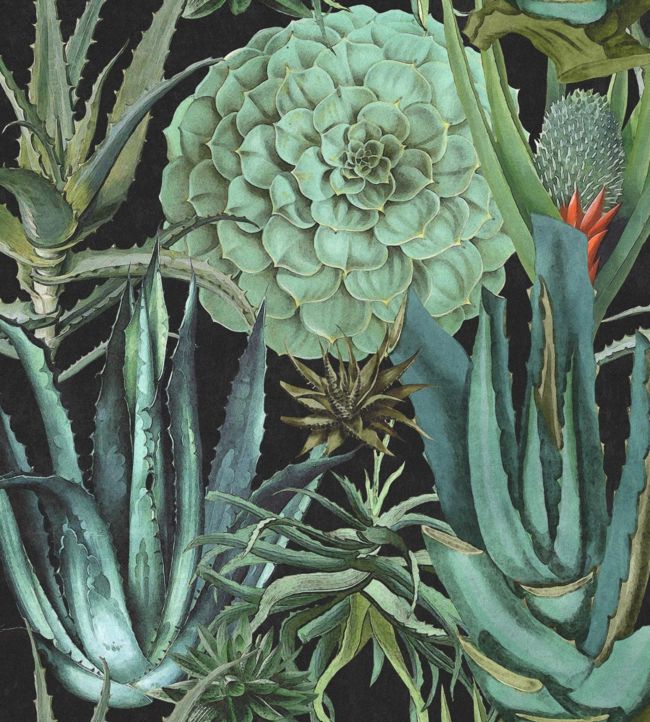 Succulentus Wallpaper by MINDTHEGAP in Anthracite | Jane Clayton