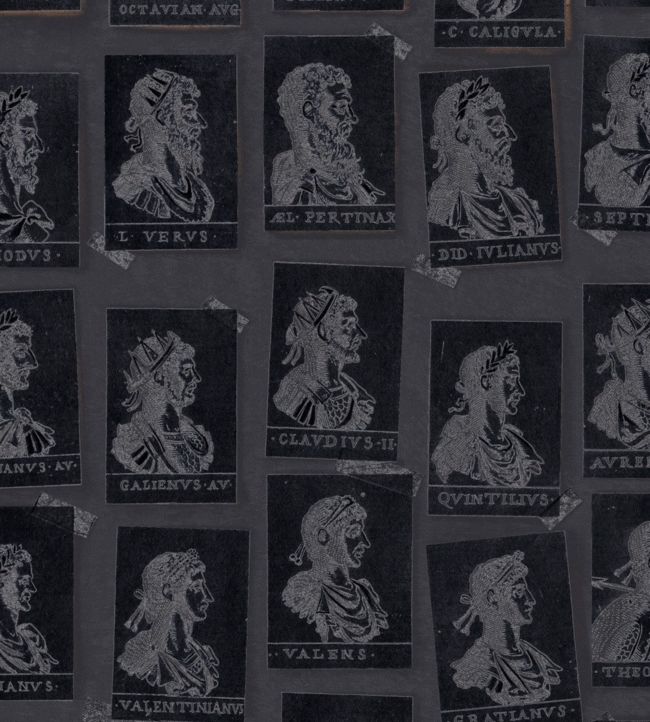 Emperors Wallpaper by MINDTHEGAP in 15 | Jane Clayton