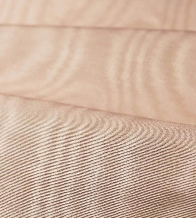 Moire Fabric in Rose Quartz by Zoffany | Jane Clayton