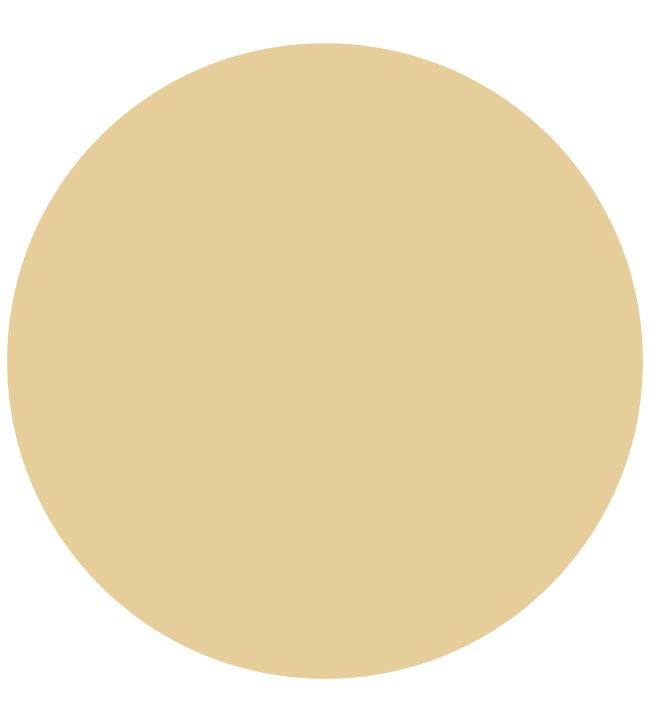 Craig & Rose Moorish Yellow Paint | Jane Clayton