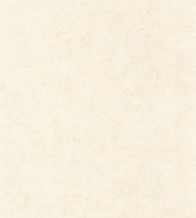 Mur A La Chaux Wallpaper in Beige Gres by Casadeco | Jane Clayton