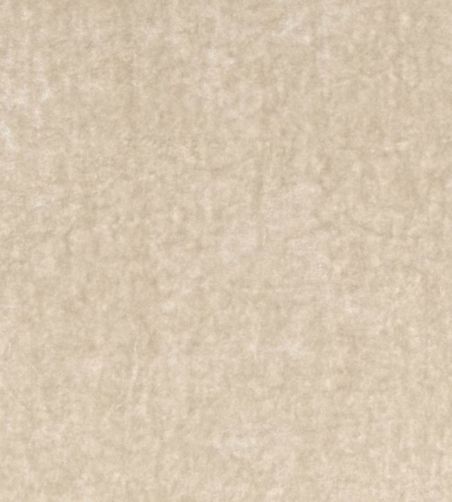 Musa Fabric in Beech by Black Edition | Jane Clayton