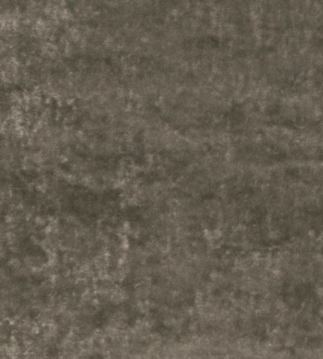 Musa Fabric in Pumice by Black Edition | Jane Clayton