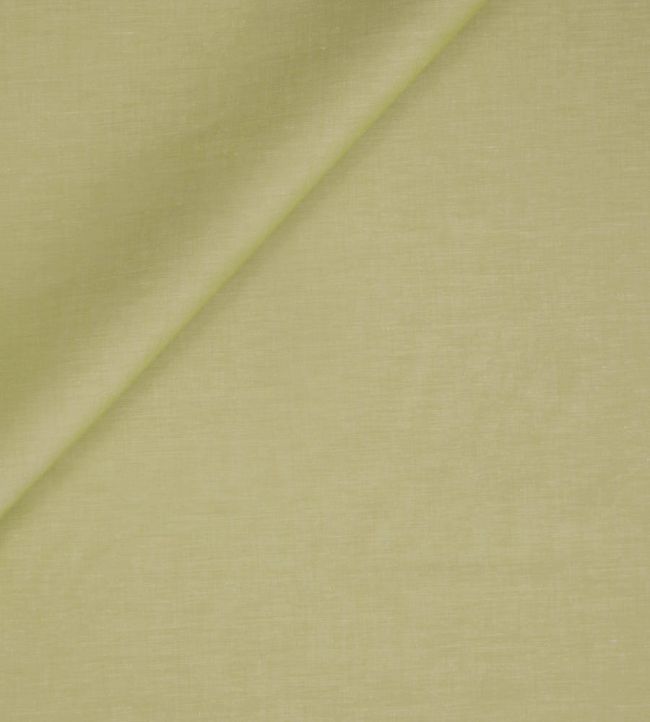 Nala Fabric in Spring Green by Jim Thompson | Jane Clayton