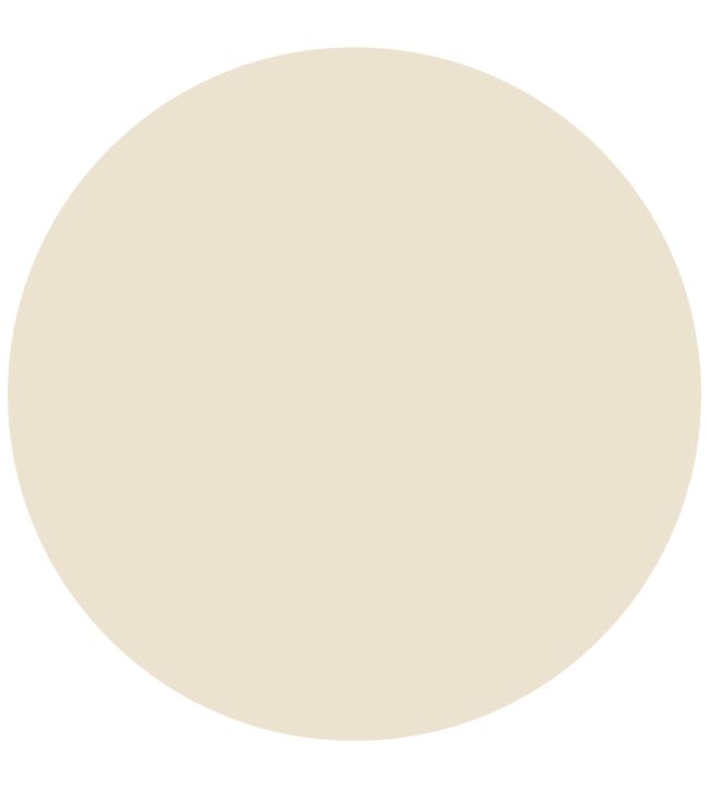 Sanderson Neutral Light Active Emulsion Paint | Jane Clayton