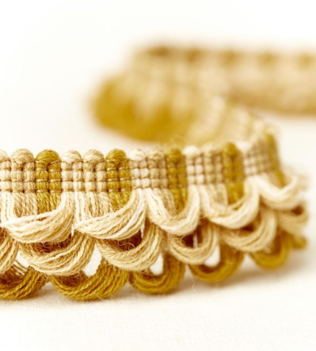 Nunwick Triple Loop Trimmings in Mustard by Sanderson | Jane Clayton