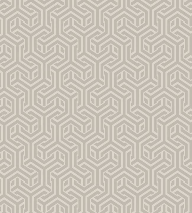 Opus Fabric in Silk by Arley House | Jane Clayton