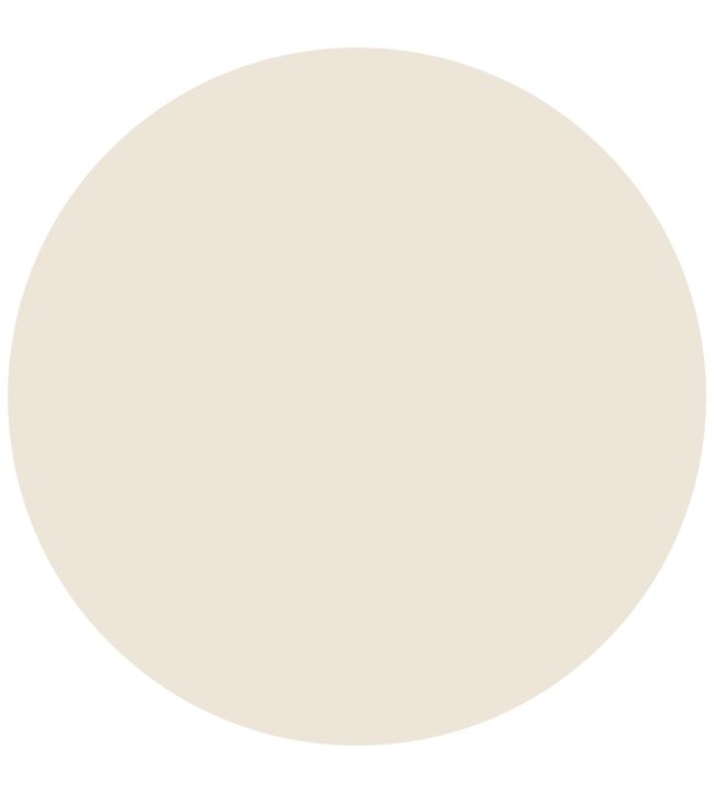 Annie Sloan Original Chalk Paint | Jane Clayton