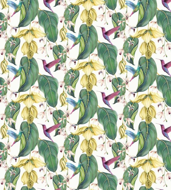 Trailing Orchid Outdoor Fabric by Osborne & Little in 01 | Jane Clayton
