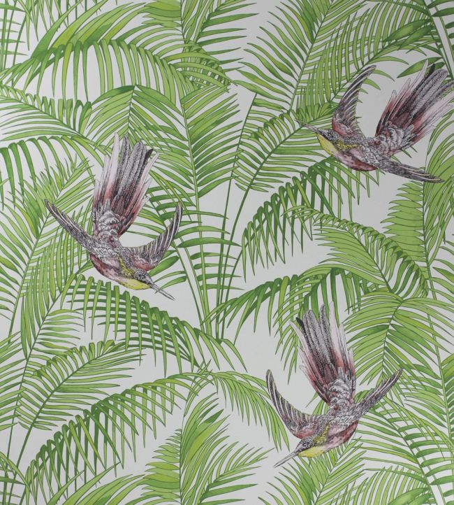 Sunbird Wallpaper by Matthew Williamson in Ruby, Kiwi | Jane Clayton