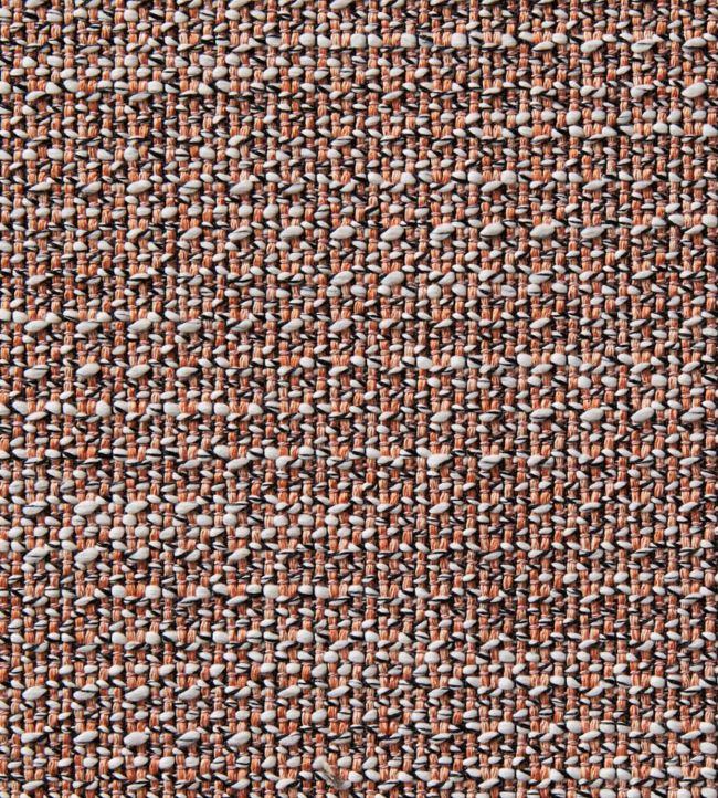 Oxford Fabric in 234 by Zimmer + Rohde | Jane Clayton