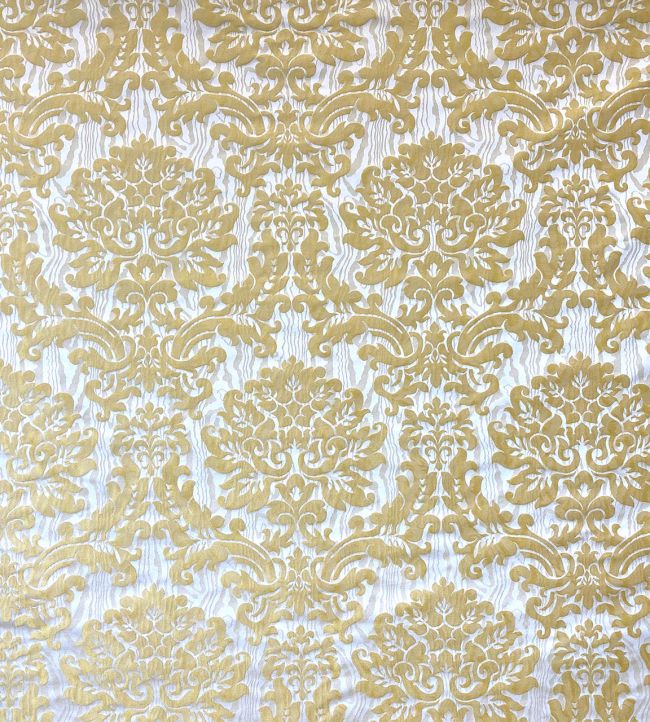 Palatine Fabric in Champagne by Casal | Jane Clayton