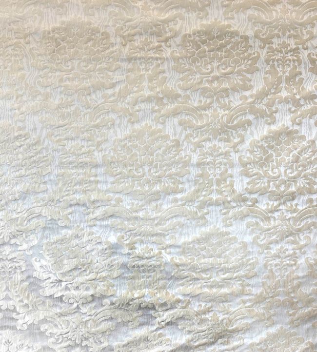 Palatine Fabric in Ivoire by Casal | Jane Clayton